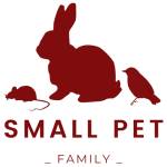 Friendly Rodent Pets: 8 Friendliest Rodents To Own – Small Pet Family