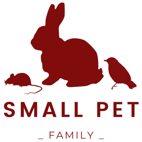 How Smart Are Hamsters? (IQ, Memory, & Recognition) – Small Pet Family